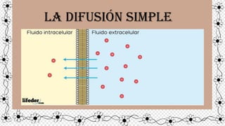 La difusión simple.pdf