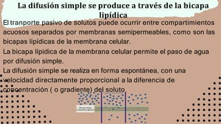 La difusión simple.pdf