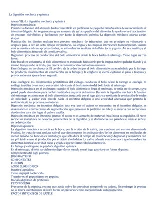 La digestión mecánica y química | DOCX