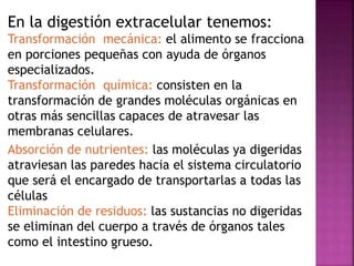 La digestion en los animales | PPTX