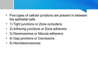 Cellular Junctions | PPT