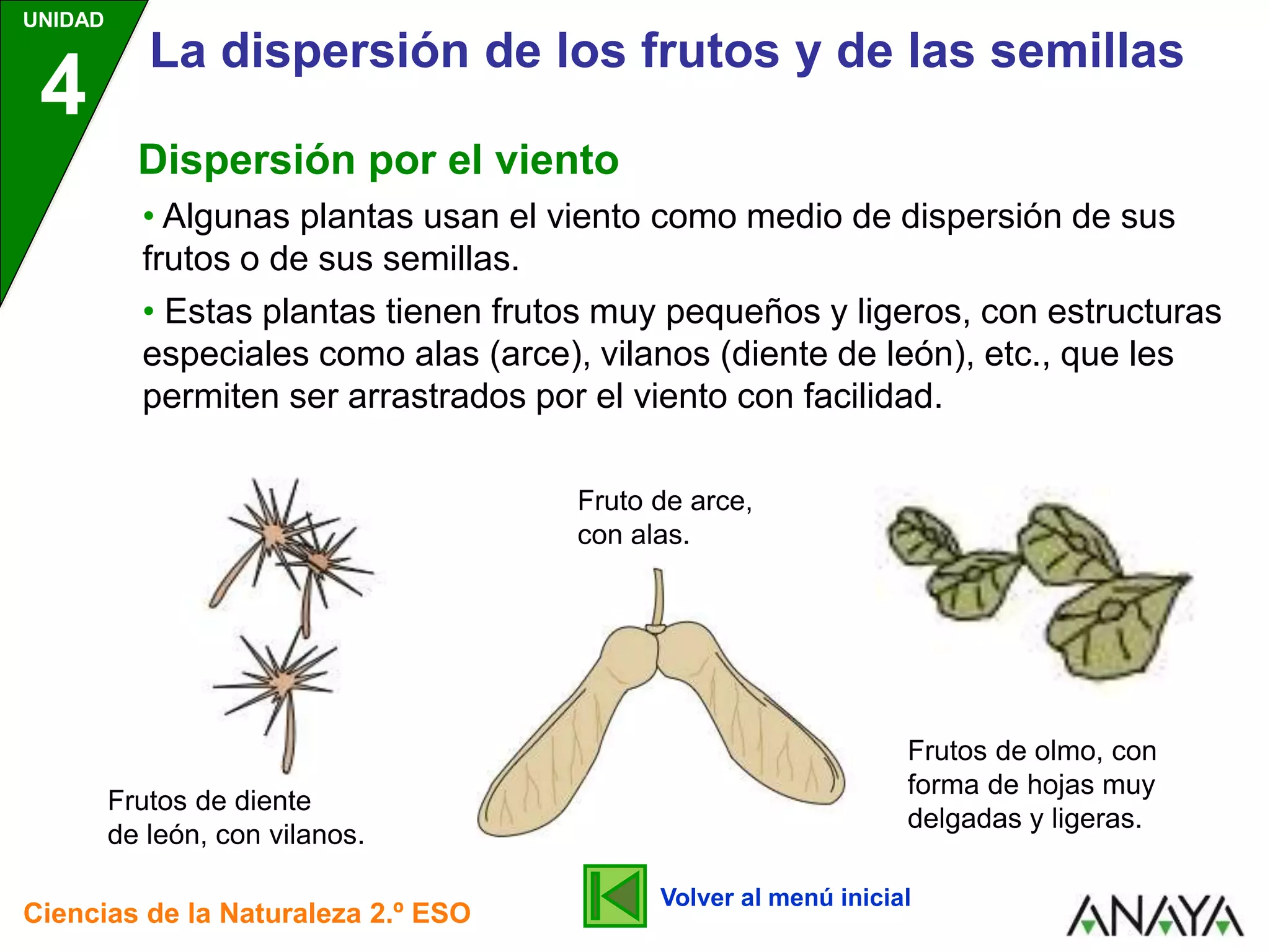 La dispersión de fruto y semillas | PPT