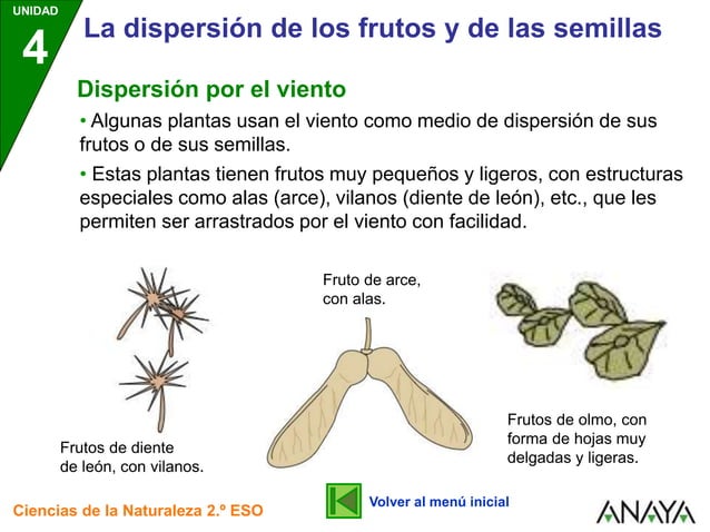 La dispersión de fruto y semillas | PPT