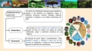 La diversidad de seres vivos que habitan en (4).pptx