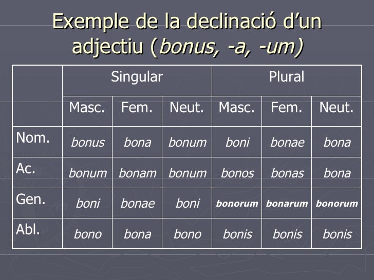 L Adjectiu Llati