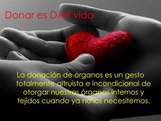 La donación de órganos | PPTX