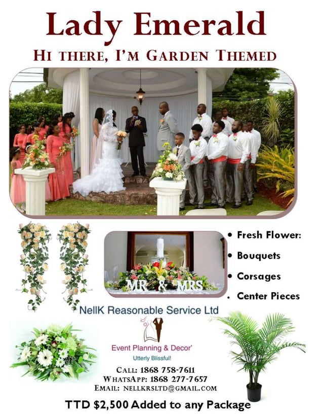 Lady emerald flyer word | DOCX