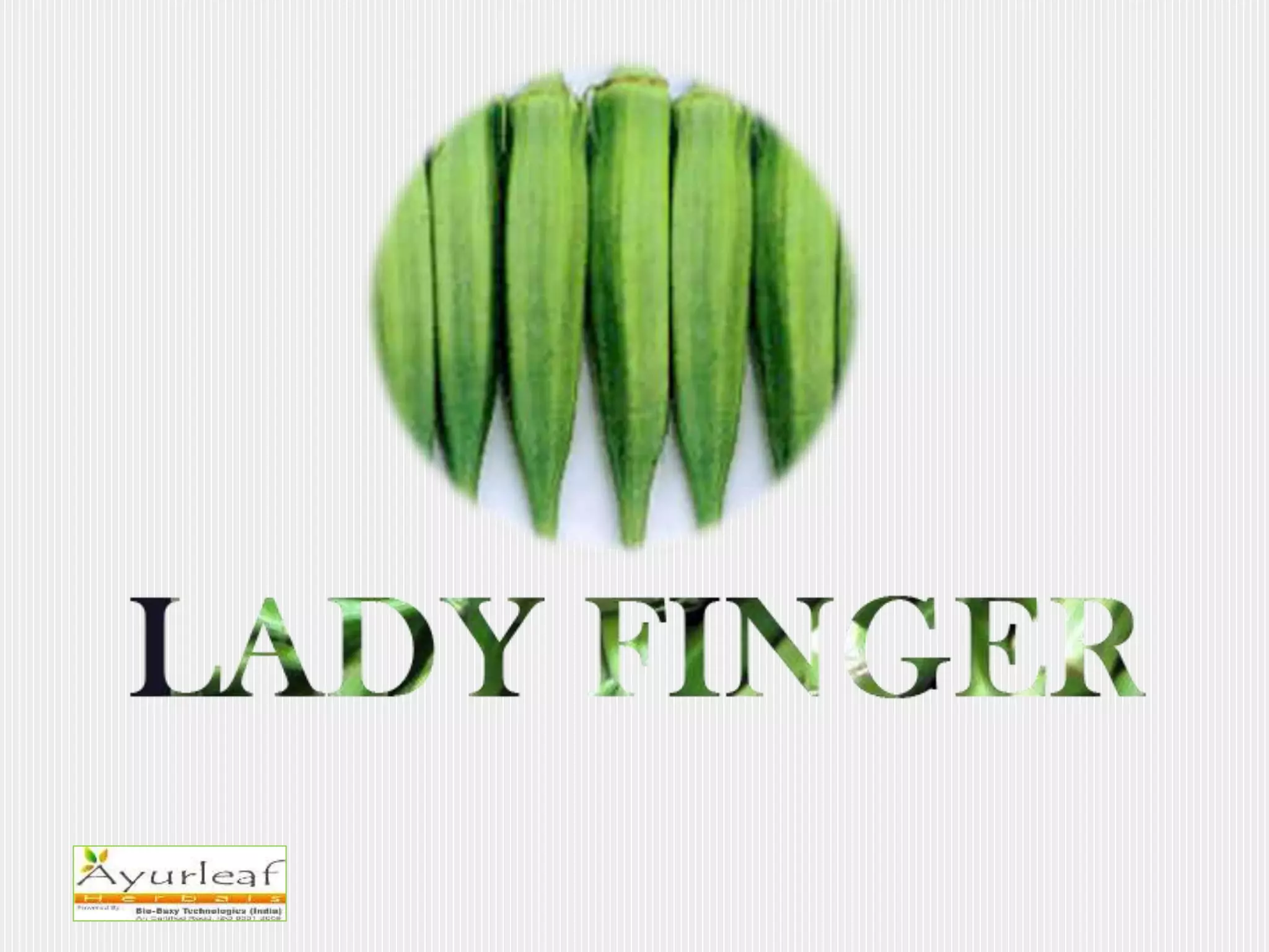 Health benefits Of Lady Finger | PPTX