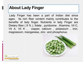Health benefits Of Lady Finger | PPTX