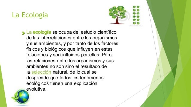 Ecologa