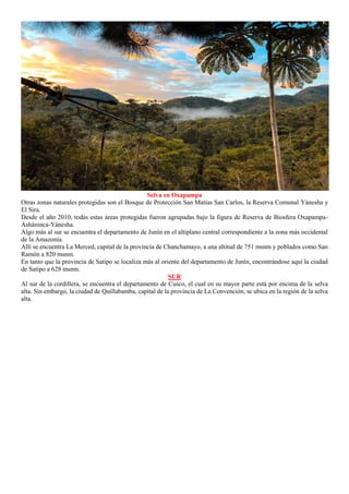 LA ECORREGIÓN DE LA SELVA ALTA. GEOGRAFÍA 2DO NOLASCO..docx