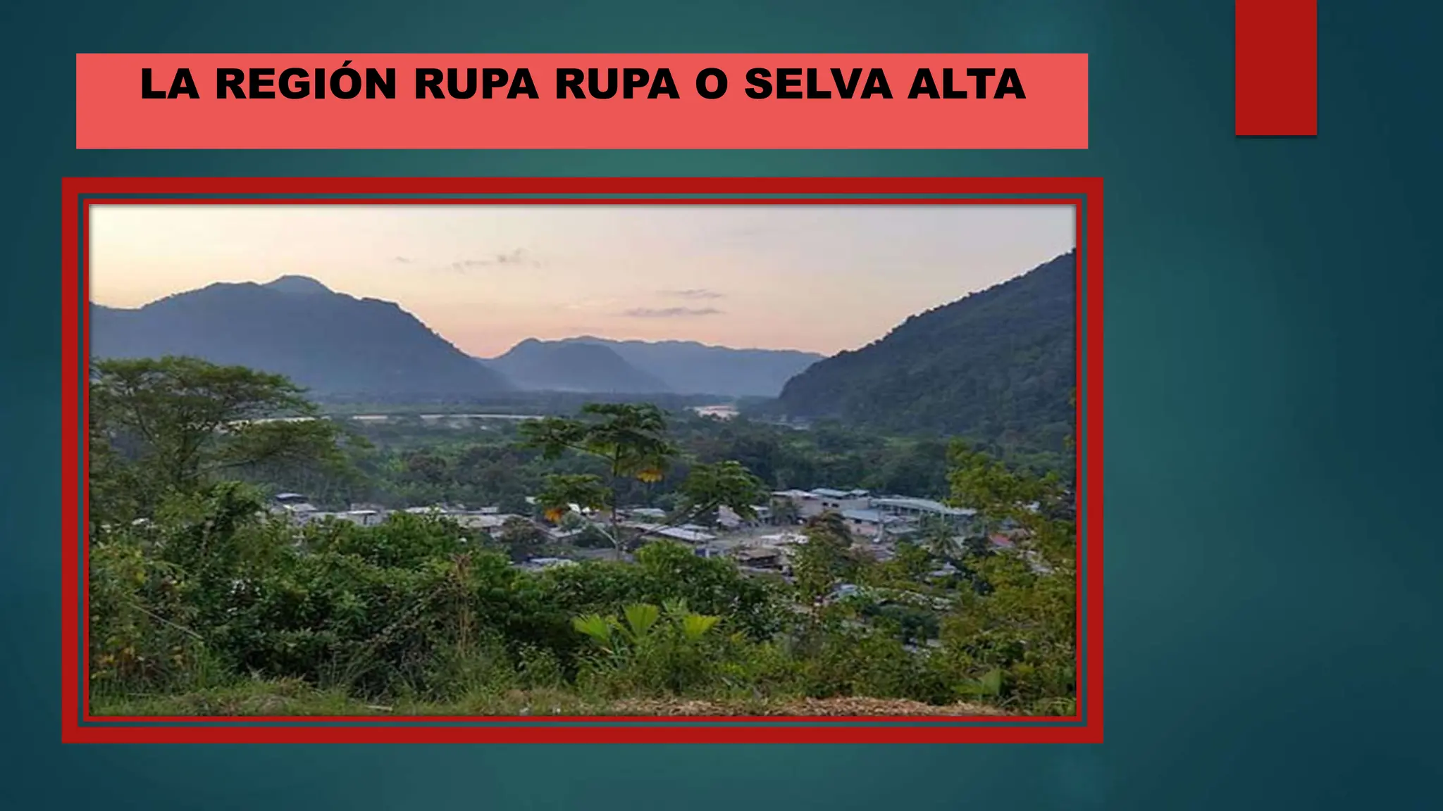 LA ECORREGIÓN SELVA ALTA. CARACTERISTICAS DE SU RELIEVE TERRESTRE ...