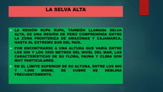 LA ECORREGIÓN SELVA ALTA. CARACTERISTICAS DE SU RELIEVE TERRESTRE ...