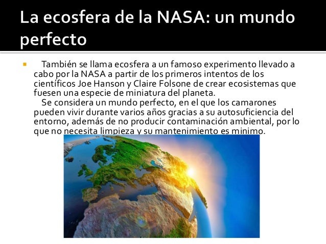 Ecosfera Nasa Premio De Roma