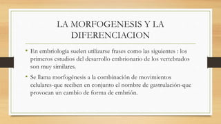 La embriologia | PPTX