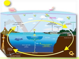 La Energia y la Materia en los Ecosistemas | PPTX