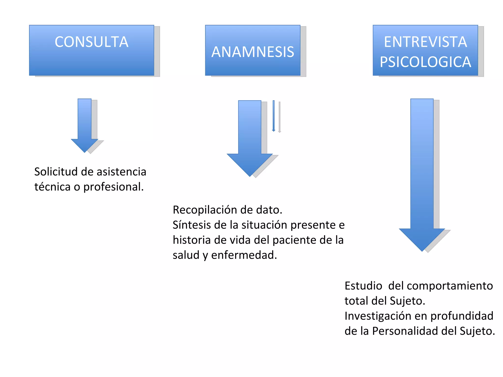 La entrevista bleger x rosiel | PPT
