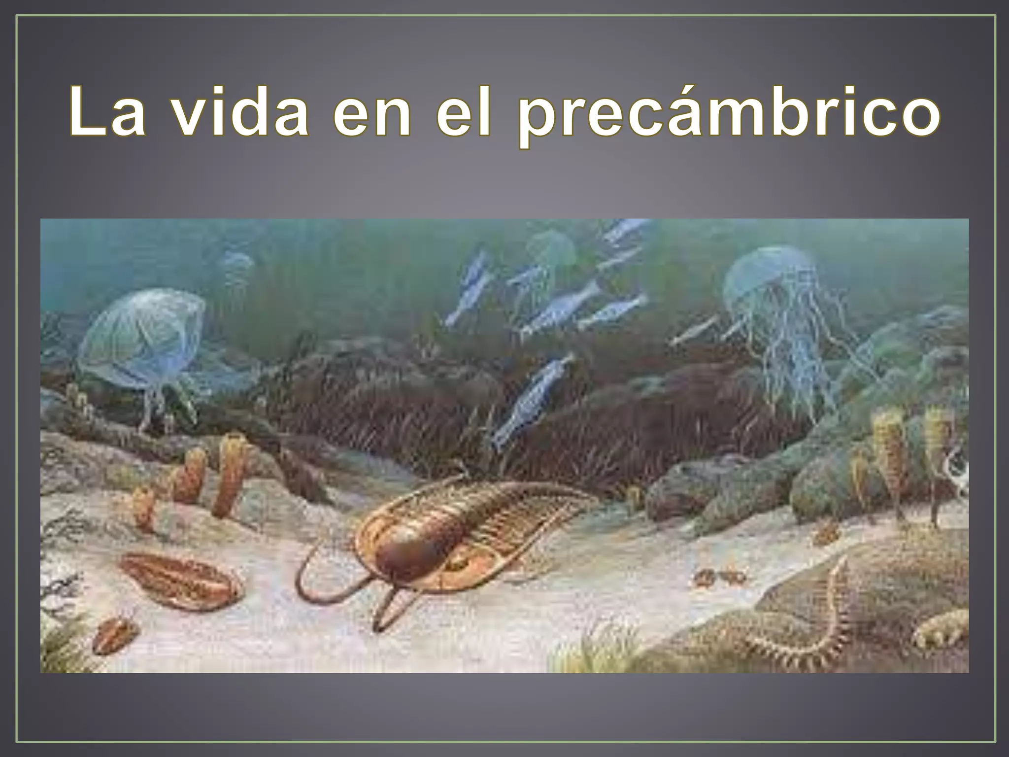 Jean Paul Suarez (La era precámbrica) | PPTX | Lacrosse | Sports