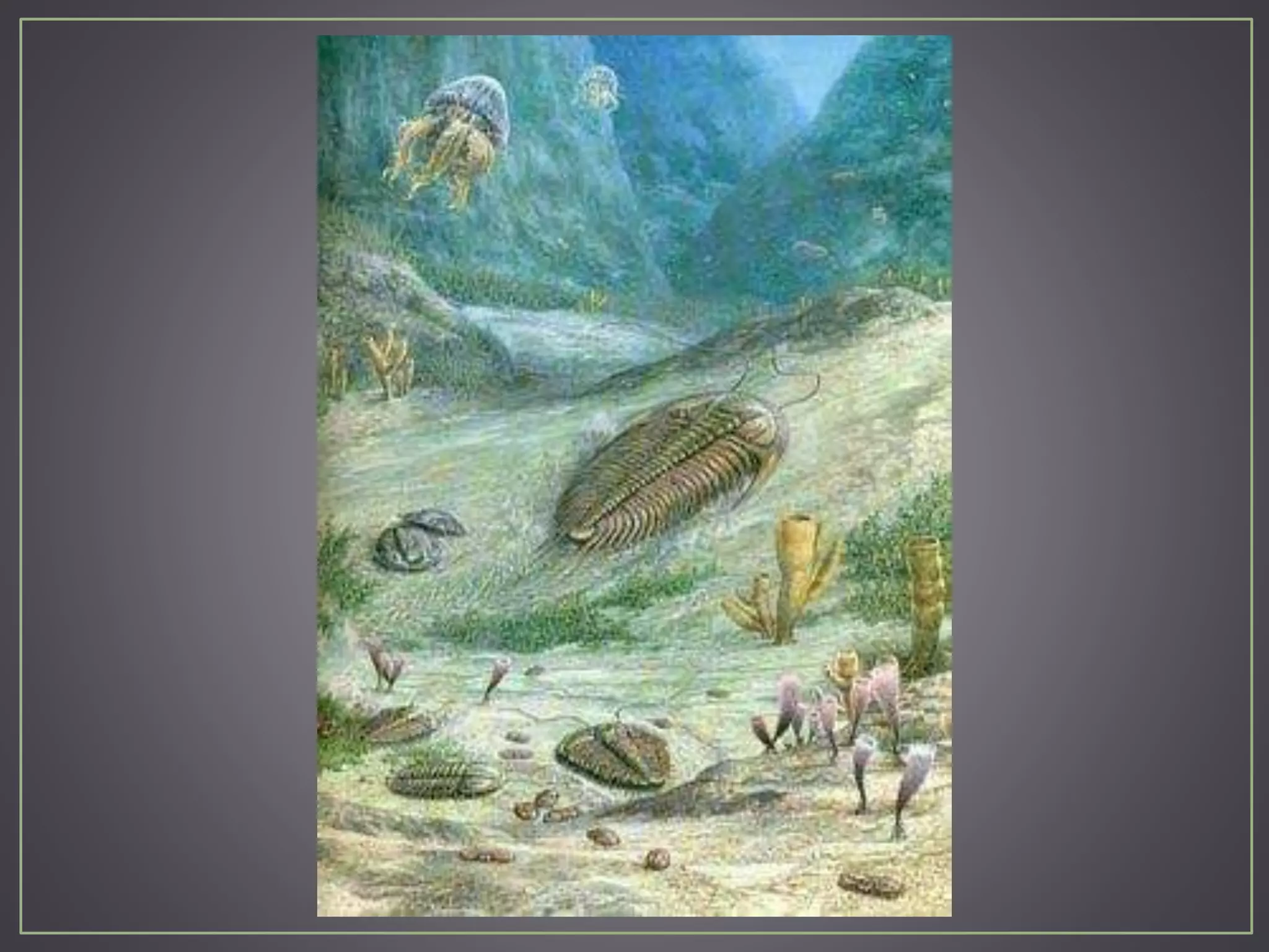 Jean Paul Suarez (La era precámbrica) | PPTX | Lacrosse | Sports