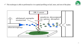 LASER ABLATION ELECTROSPRAY IONISATION(LAESI) | PPTX