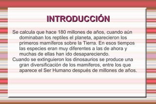 La evolución | PPS