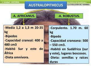 La evolución del hombre | PPTX