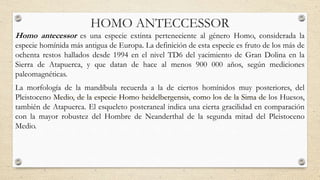 La Evolución del ser humano | PPTX