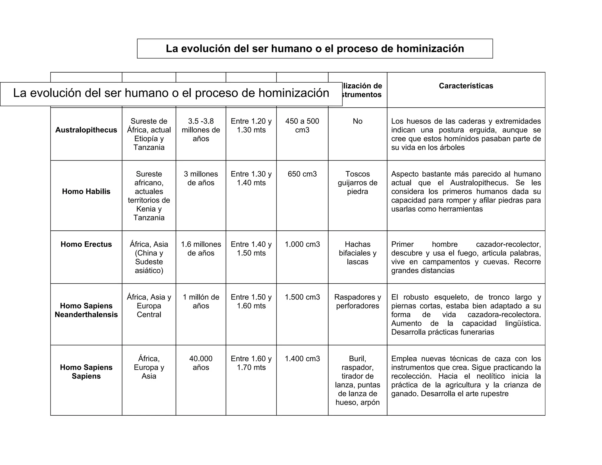 La evolución del ser humano o el proceso de hominización cuadro | DOC
