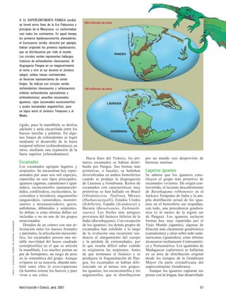 La evolución de los lepidosaurios | PDF