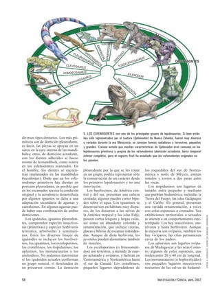 La evolución de los lepidosaurios | PDF