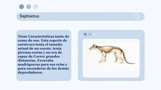 La evolucion de los lobos.pptx