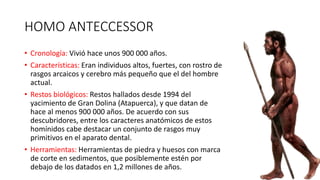 La evolucion del ser humano | PPTX