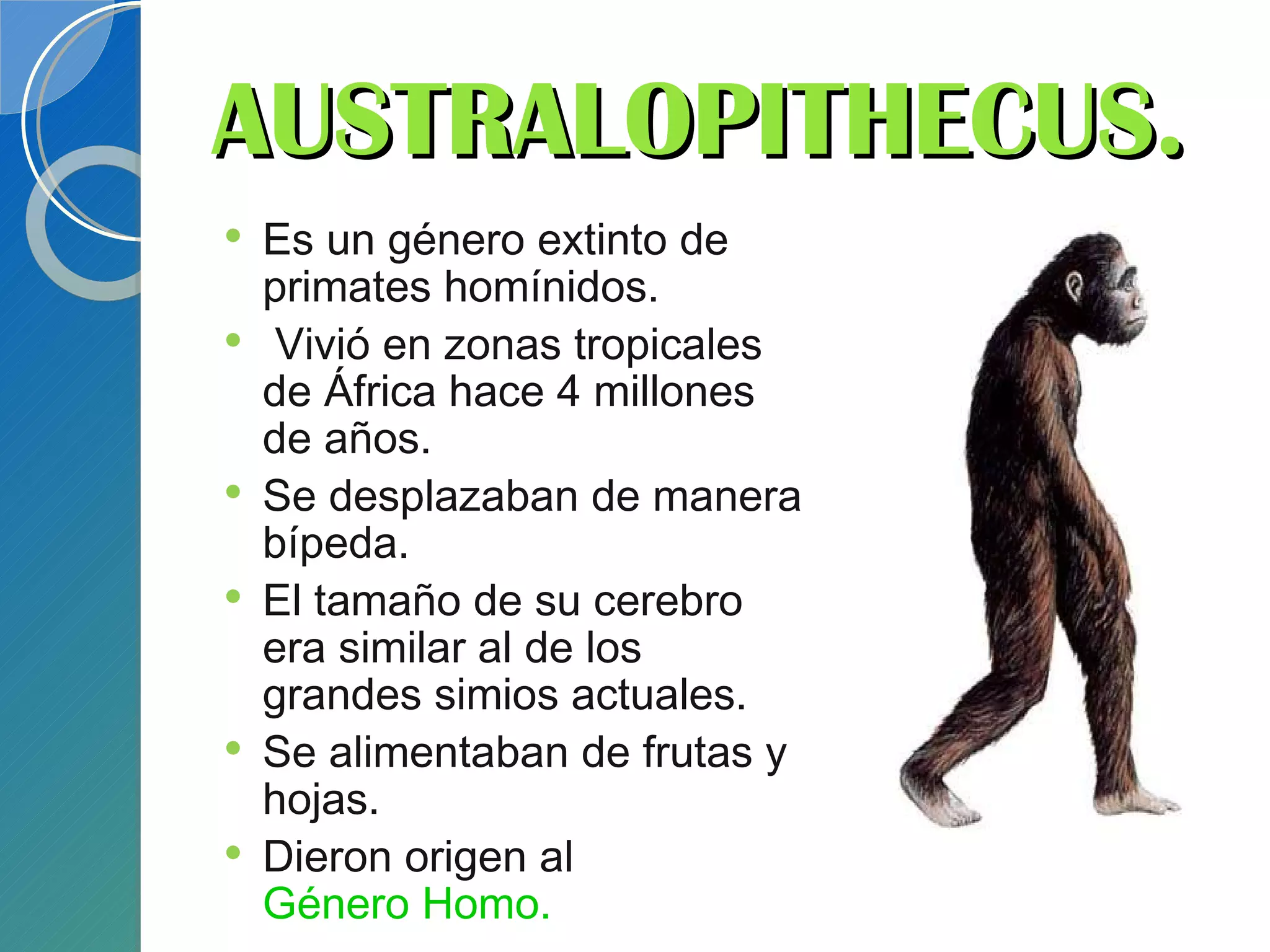 La evolucion humana | PPT
