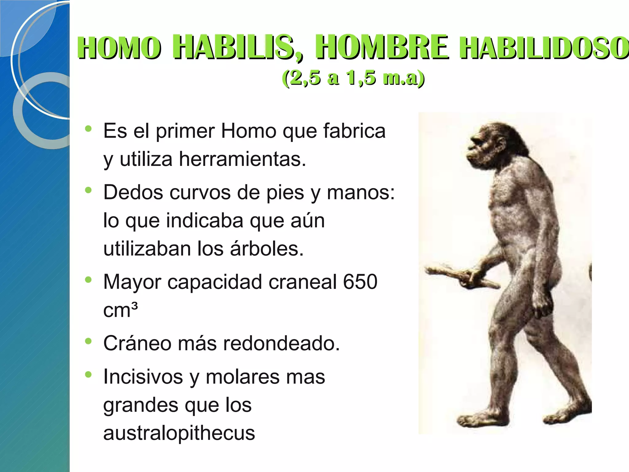 La evolucion humana | PPT
