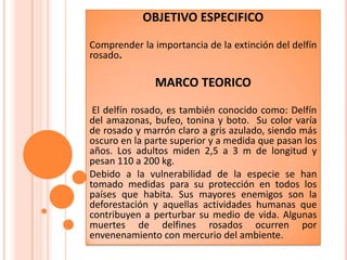 La extincion del delfin rosado | PPTX