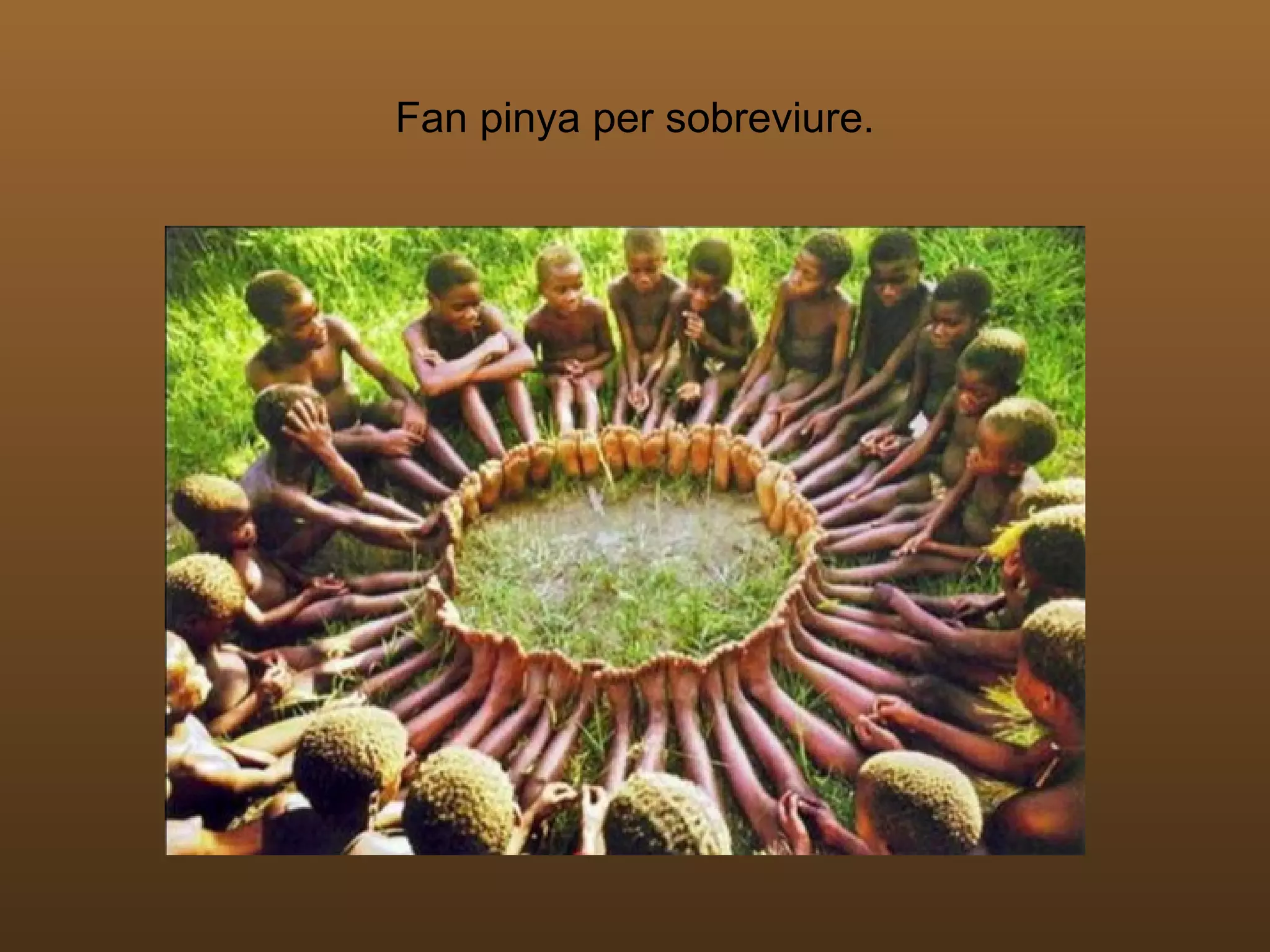 La fam al món(núria, laia i mar) | PPT