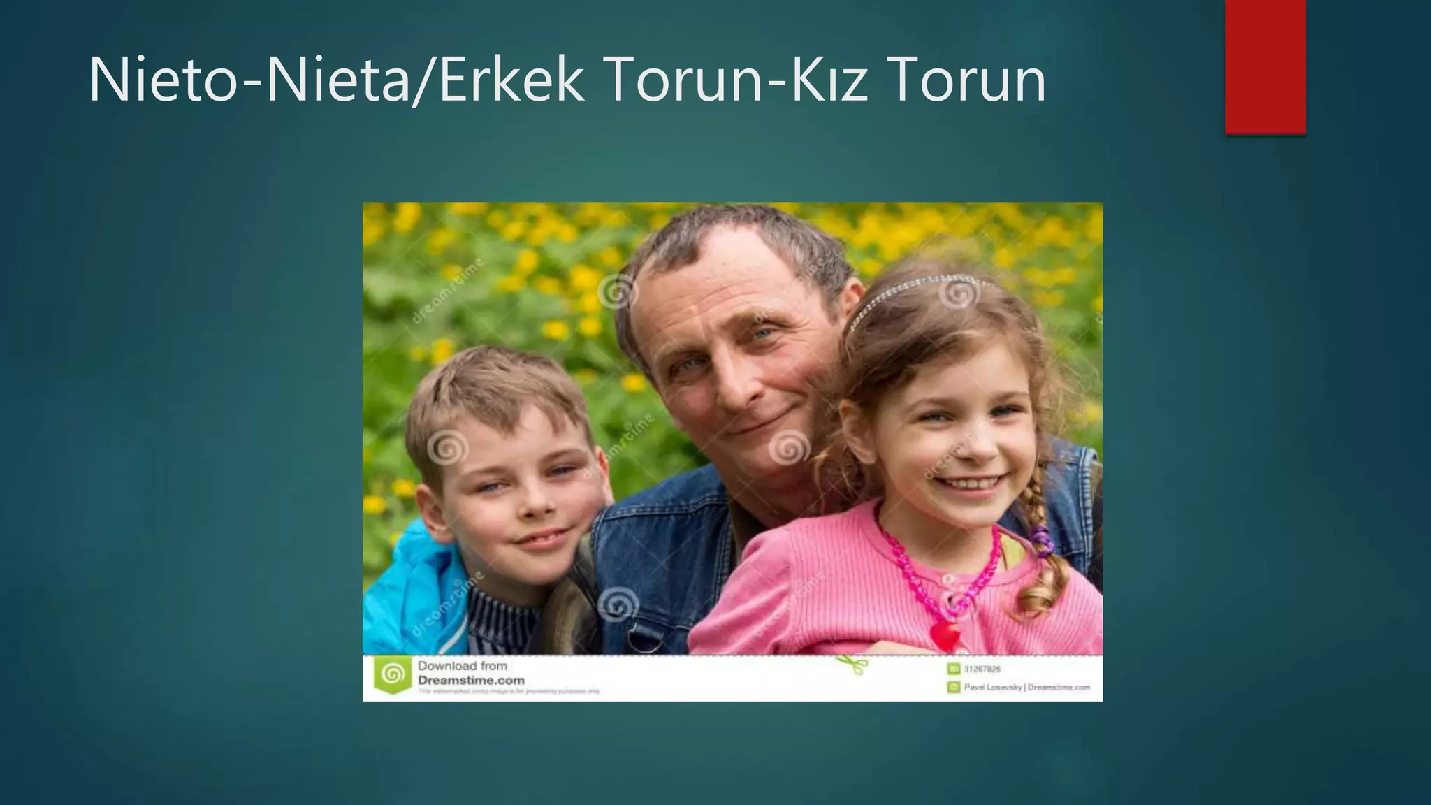 La familia - aile | PPTX