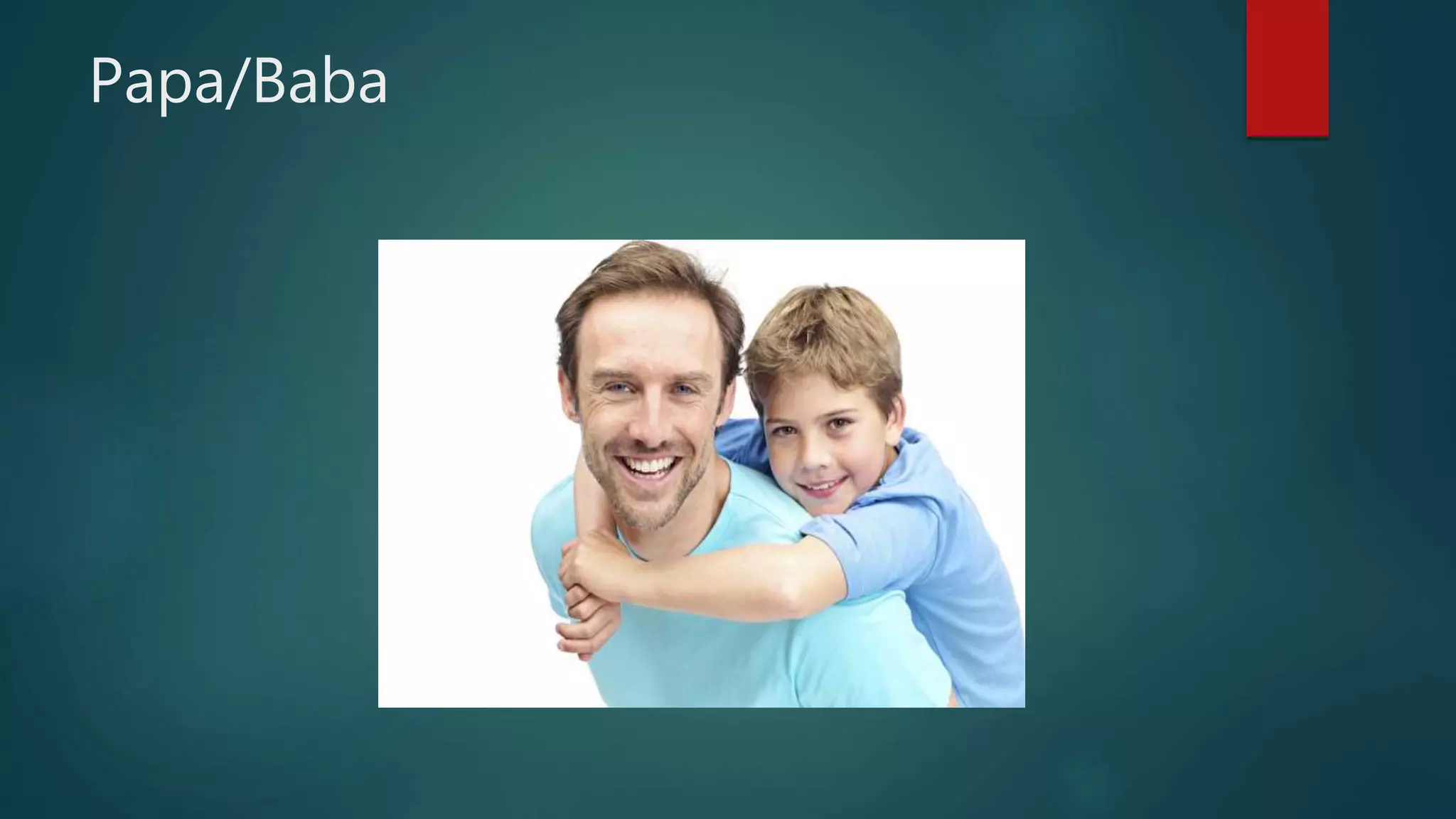 La familia - aile | PPTX