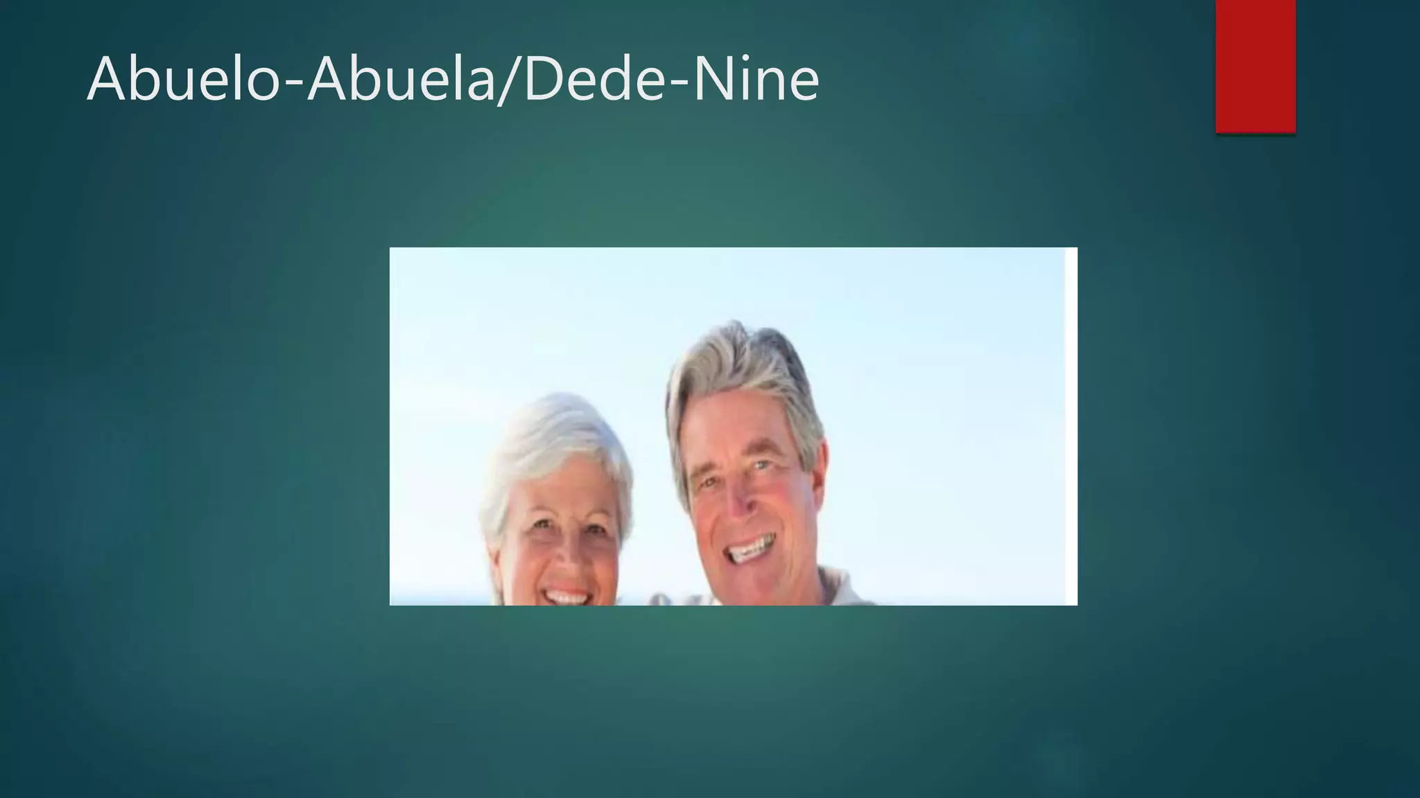 La familia - aile | PPTX