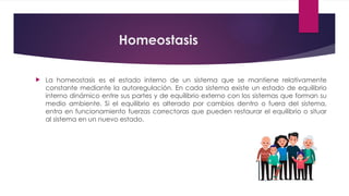 LA FAMILIA COMO UN SISTEMA Y SUS PROPIEDADES | PPTX