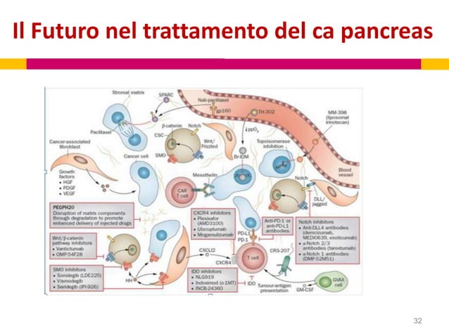 La farmacoterapia dei tumori dell'apparato digerente | PPT