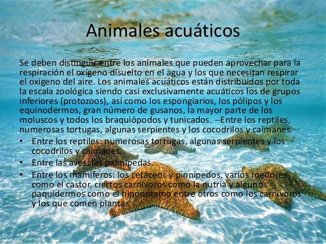 Animales acuaticos y su descripcion - Imagui