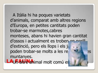La fauna a Italia | PPTX