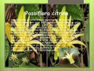 La fauna y flora en colombia | PPTX
