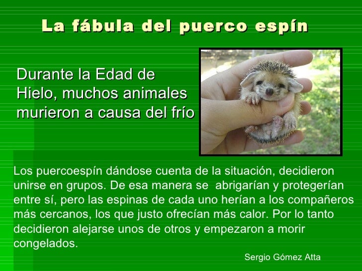 La fábula del puerco espín