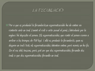 La fecundació al naixement | PPT