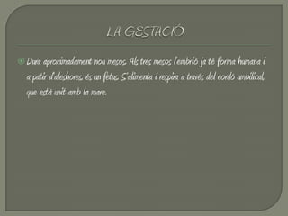 La fecundació al naixement | PPT