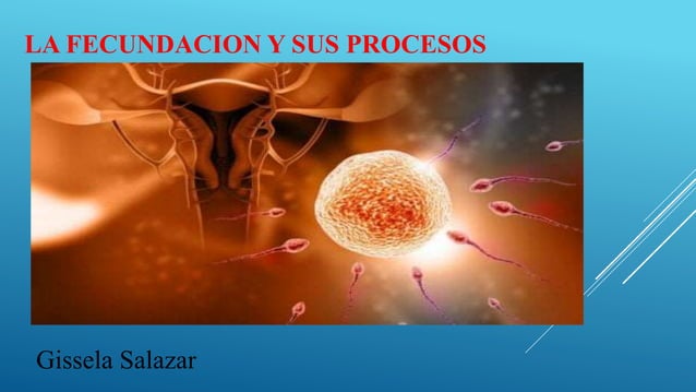 LA FECUNDACION Y SUS PROCESOS.pptx