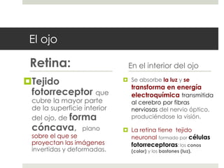 La fisiología humana | PPTX