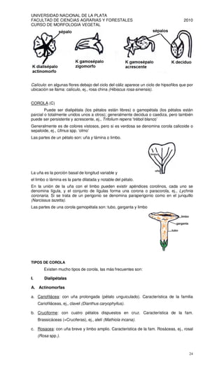 La flor | PDF